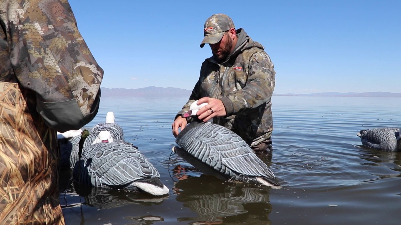 Alaska Emperor goose duck hunting Coldbay - YouTube