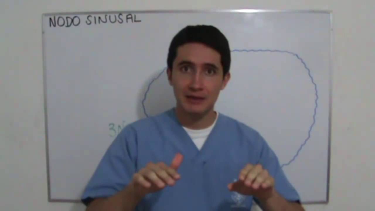 NODO SINUSAL PARTE 1 de 4 (Curso Completo Ver Descripción) - YouTube
