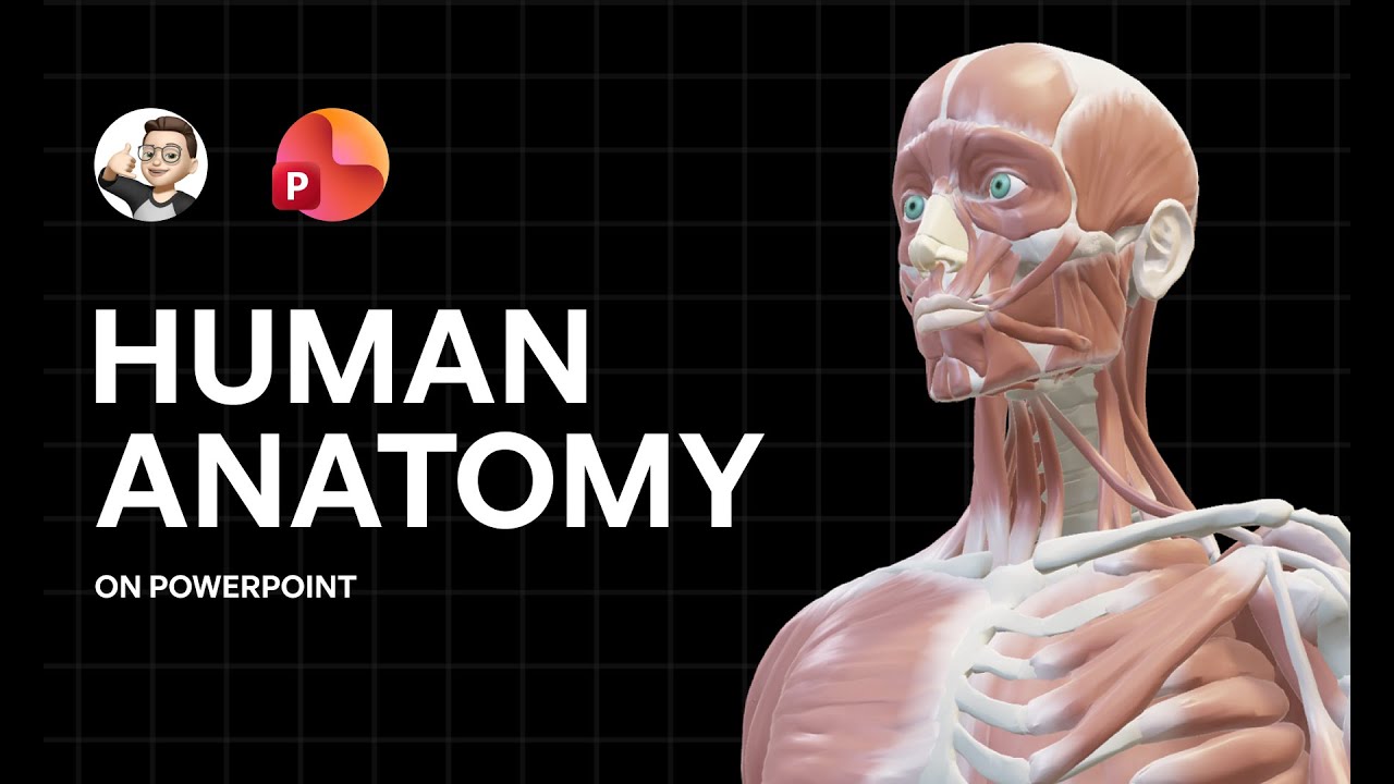 How I Did Human Anatomy 3D Animation Using Only Powerpoint - YouTube