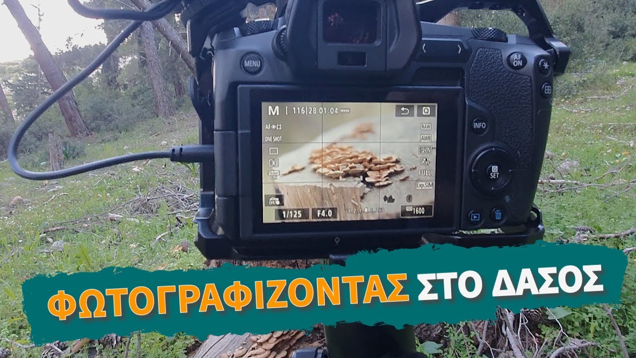 ΦΩΤΟΓΡΑΦΙΖΟΝΤΑΣ ΣΤΟ ΔΑΣΟΣ Youtube