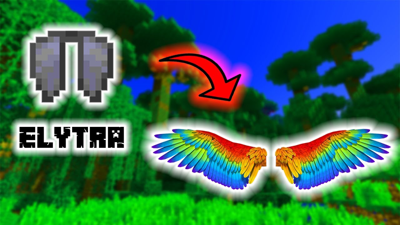 Rainbow elytra - YouTube