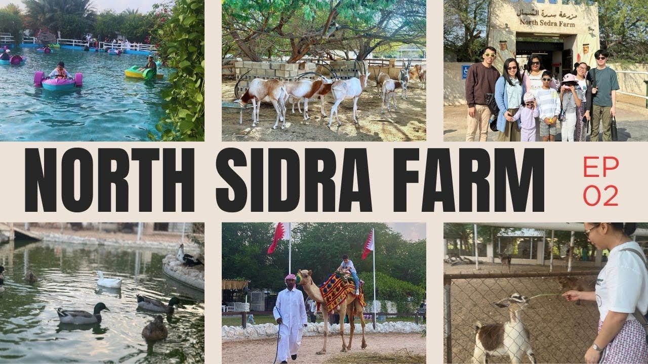 NORTH SEDRA FARM OF QATAR EP.02 - YouTube