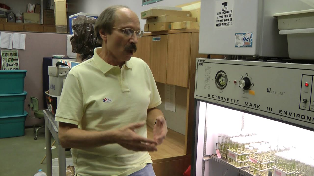 Dr Jim Cuda | Professor, Biological Control; Invasive Plants - YouTube