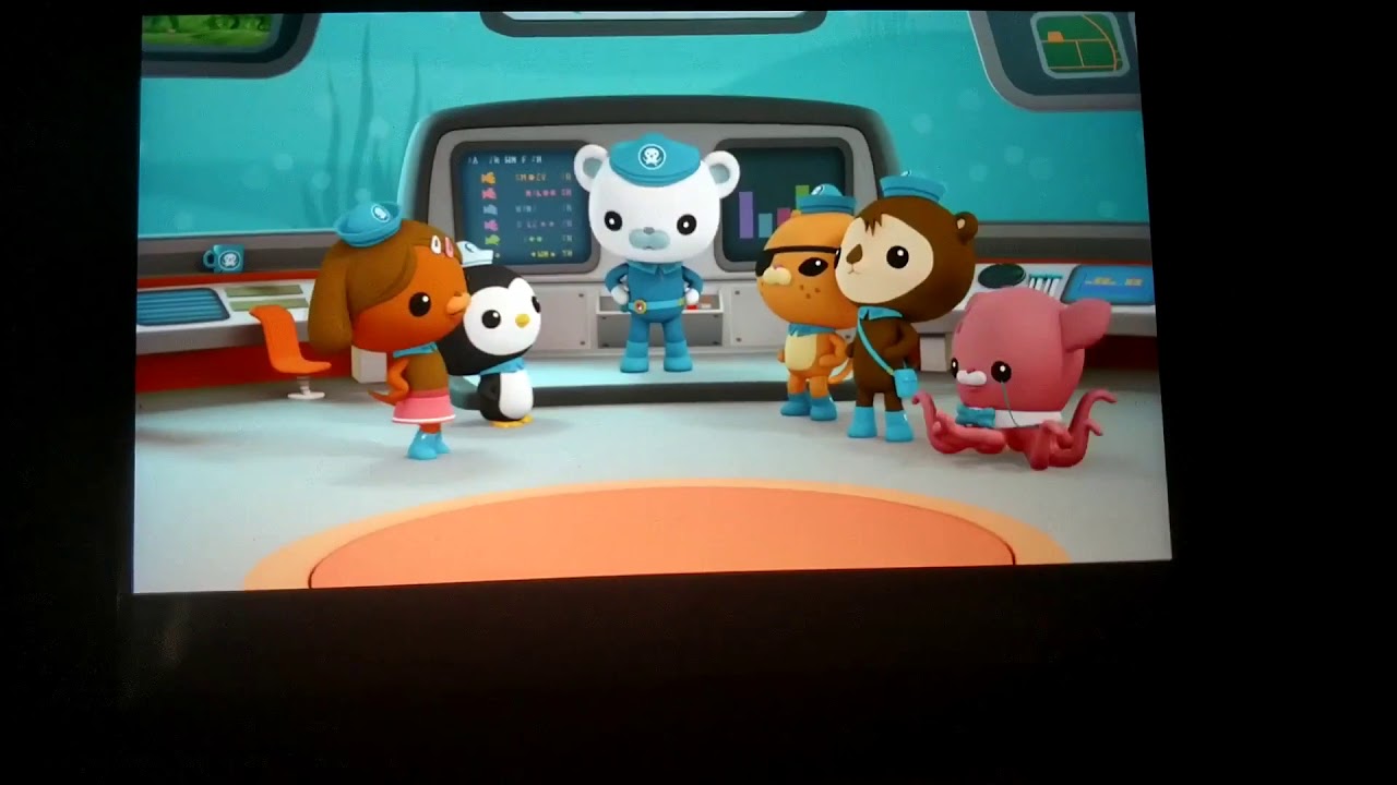 Octonauts creature report walrus pups - YouTube