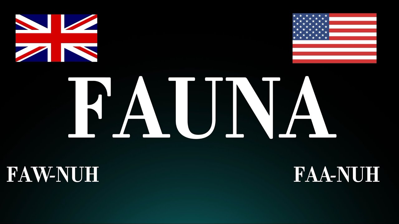 Learn How to Pronounce 'Fauna' Perfectly: UK vs USA (Nature Vocabulary ...