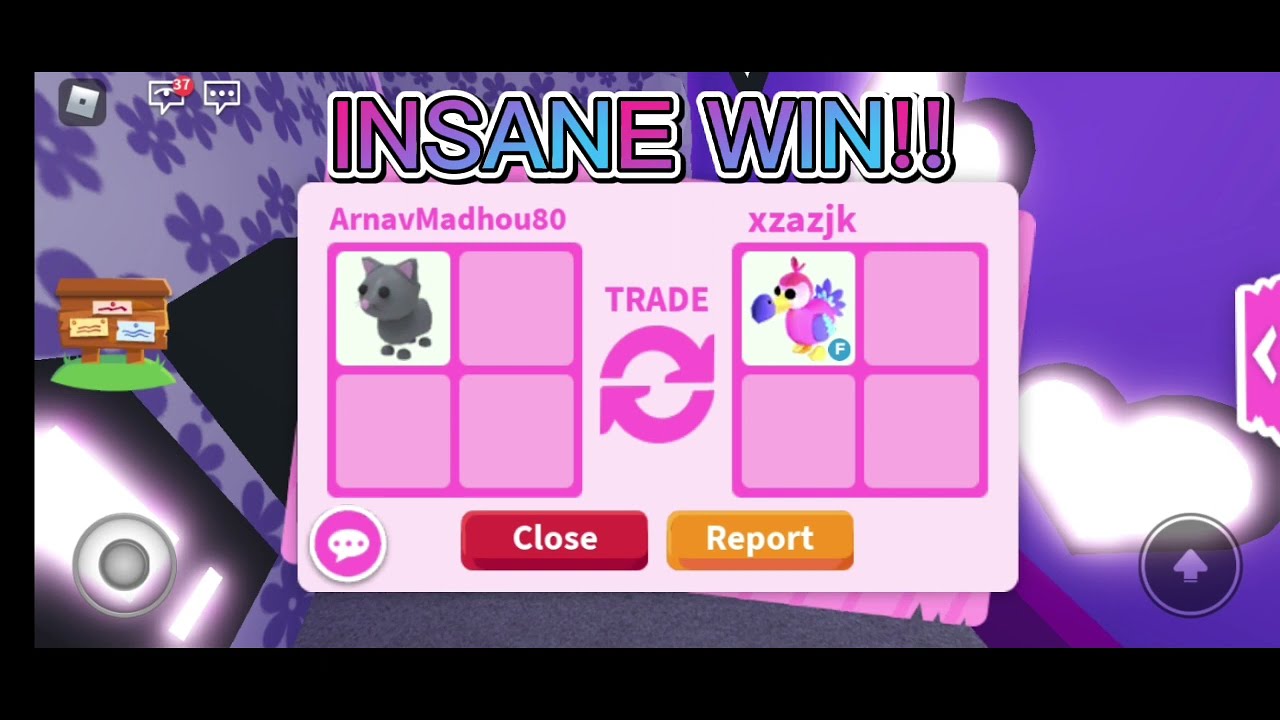 Roblox Adopt me Trading profits W/F/L - YouTube