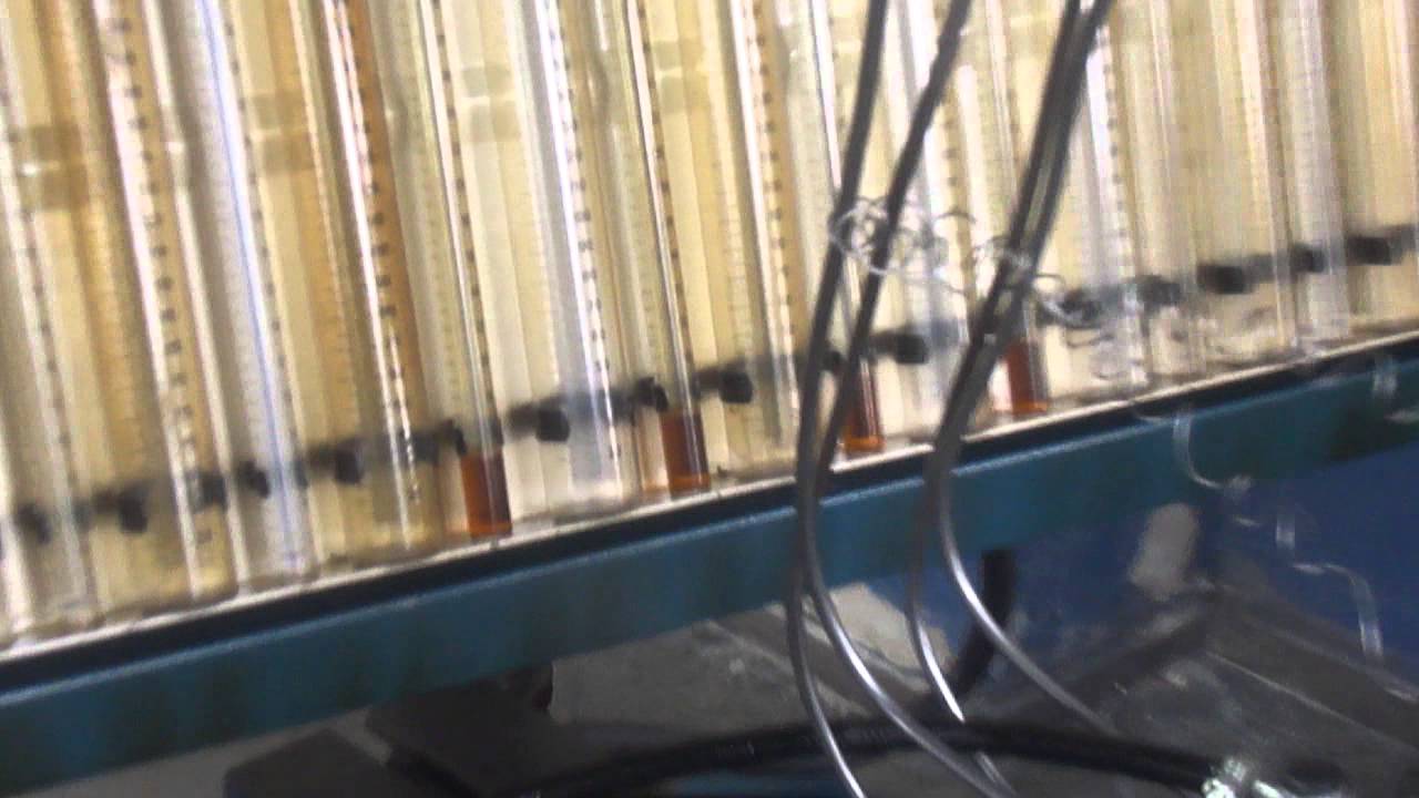 diesel fuel pump CAV DPA test - YouTube