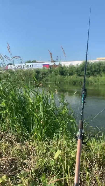Приехал испытать два фидера от фирмы кайда #рыбалка #fishing - YouTube