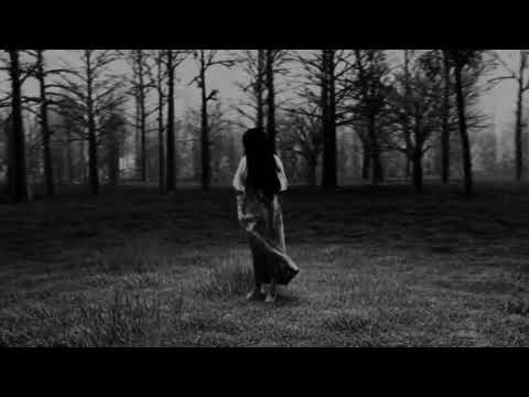 SENSHAZE - Süre ( slowed + reverb )