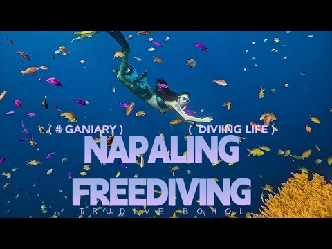 [Vlog] | bohol | mermaid | 가니여행기 - YouTube