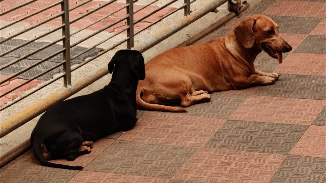 summer time ft. LUCY, JUNE - YouTube