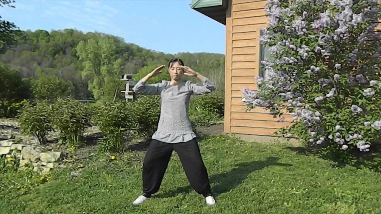 Beginner Qigong: 8 Movements Baduanjin (八段錦) -- The Eight Silken ...