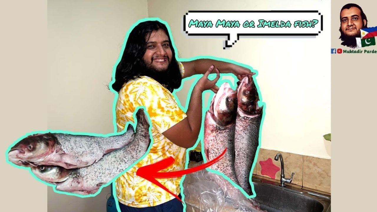 Maya Maya or Imelda? | First experience to buy a big fish in the ...