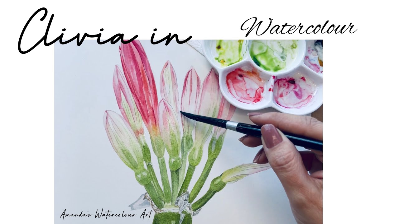 How I paint a Clivia in watercolour|| Paint a Clivia || by Amanda’s ...
