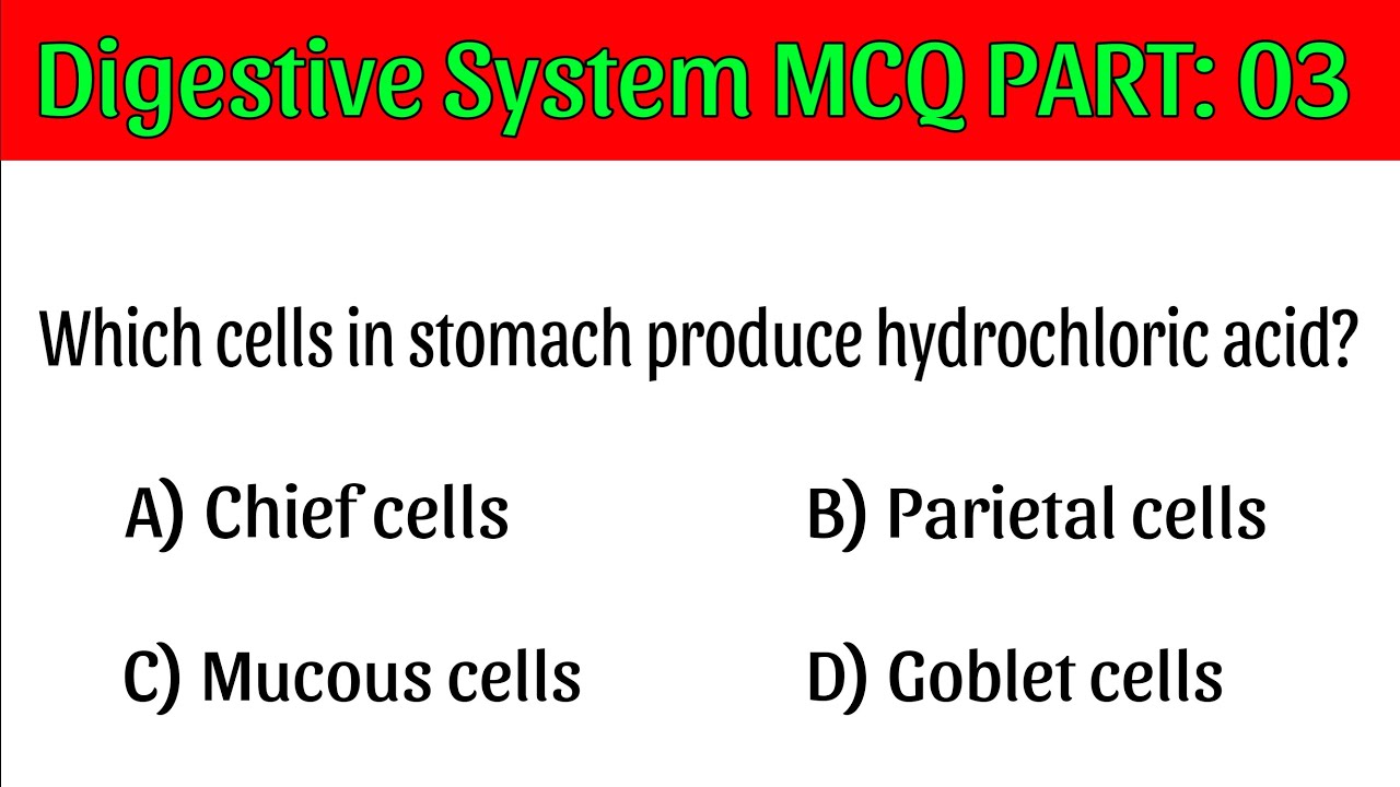 Digestive System MCQ |PART: 03| |digestive system questions| - YouTube
