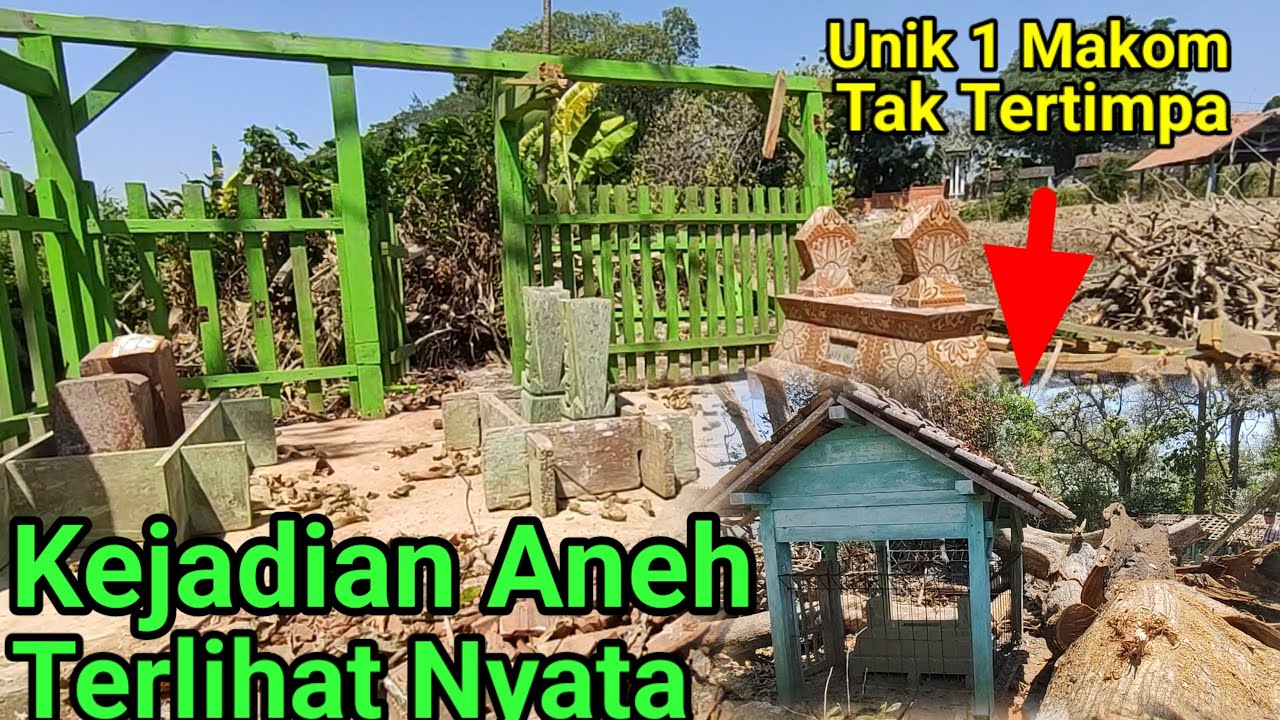 Unik 1 Makom Aman Tertimpa Pohon yang Tumbang - YouTube
