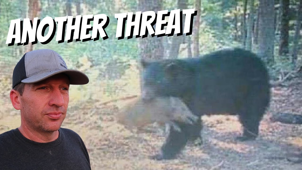 A New Predator Near The Homestead - YouTube