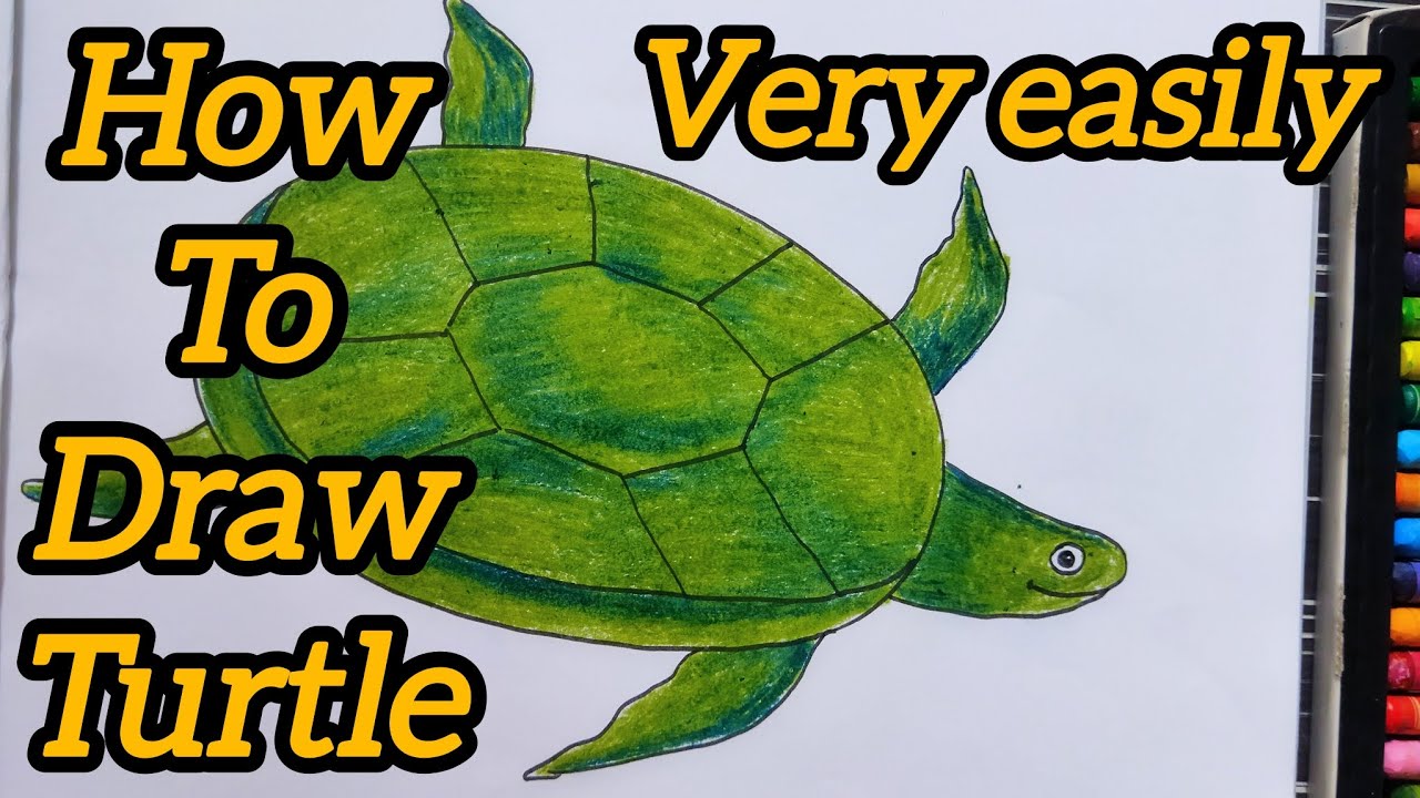 How to draw turtle step by step ॥ Shuvra's art world ॥ - YouTube