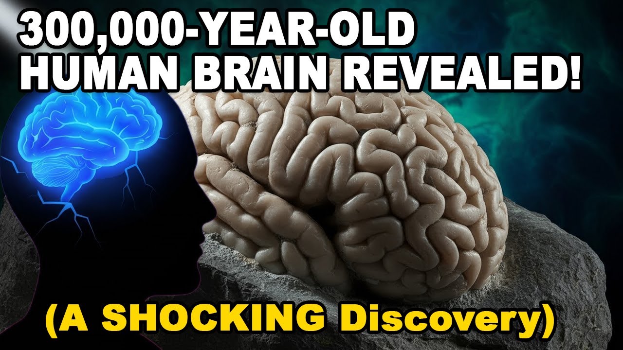 🧠 300,000-Year-Old Human Brain REVEALED! (A SHOCKING Discovery) - YouTube