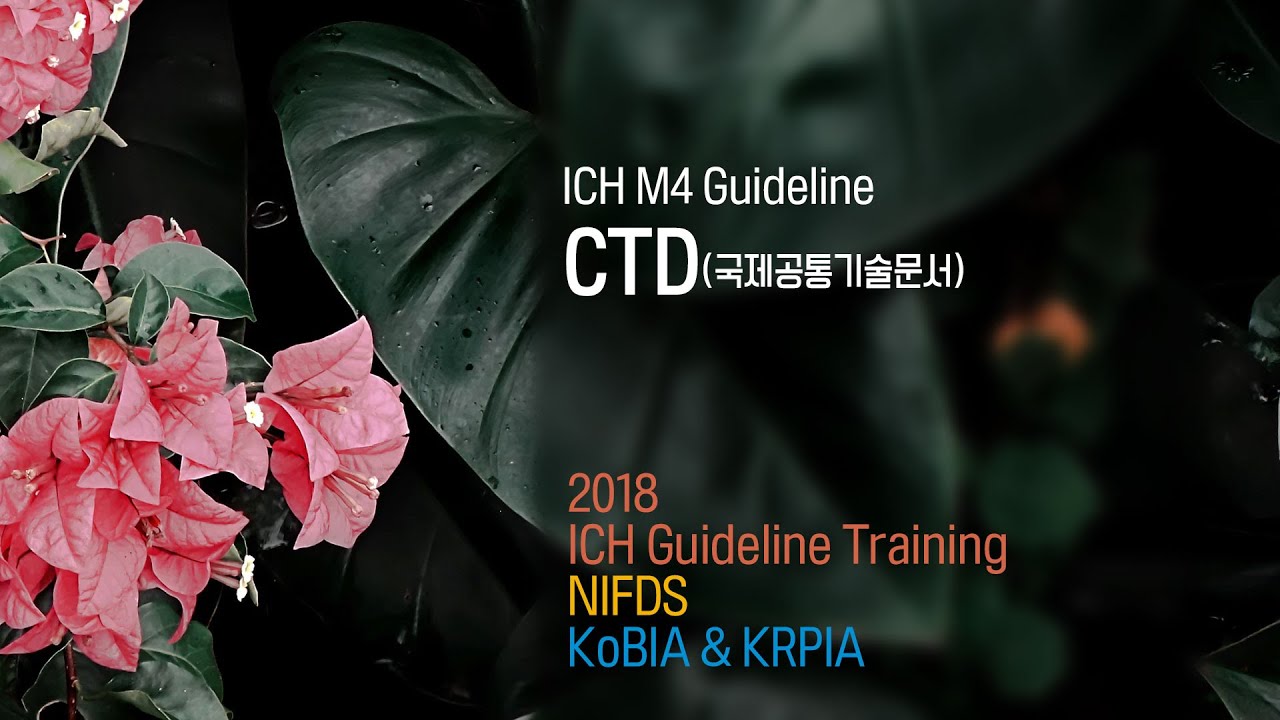 ICH M4-1. CTD - YouTube