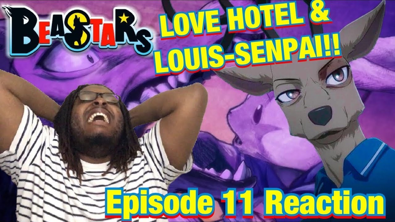 Beastars Episode 11 Reaction | LOVE HOTEL & LOUIS-SENPAI!!! - YouTube