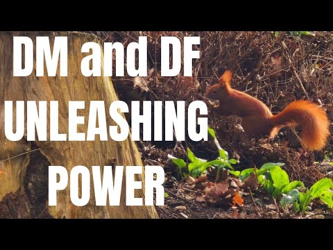 Unleashing Power: DM finding their power. DF power manifesting dreams ...