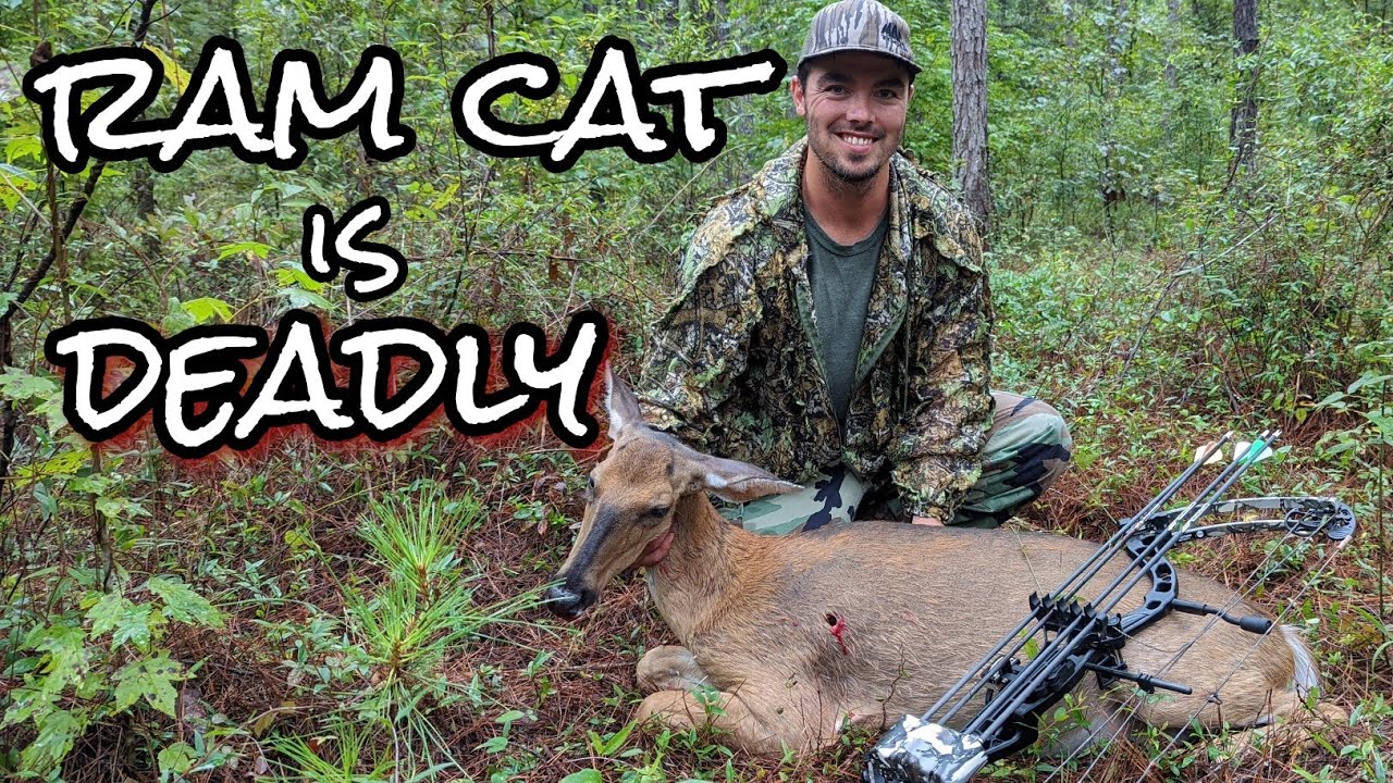 Georgia Bow Hunting using RAM CAT Broadheads - YouTube