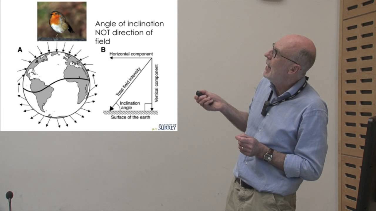 Quantum Biology - Johnjoe McFadden - YouTube