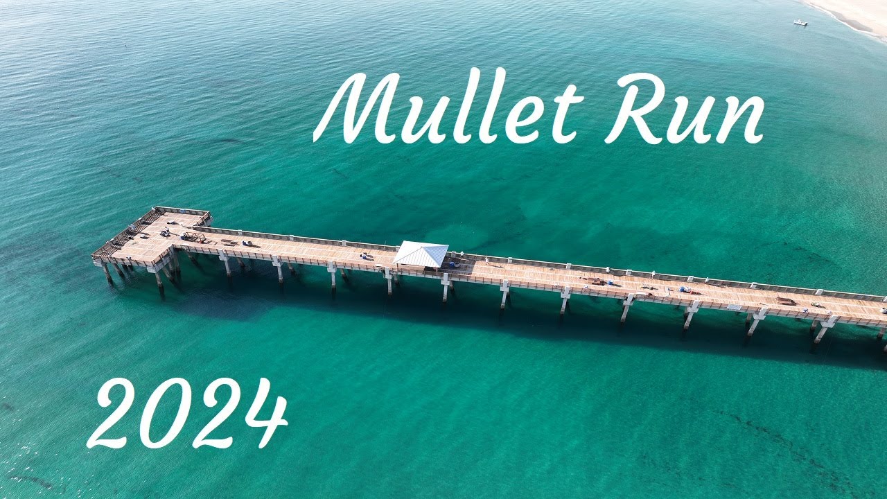 Mullet Run 2024 Juno Beach Fl Drone - YouTube