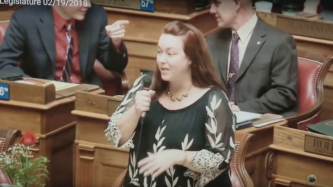 WVCDL Introductions WV House of Delegates Lobby Day 2018 - YouTube