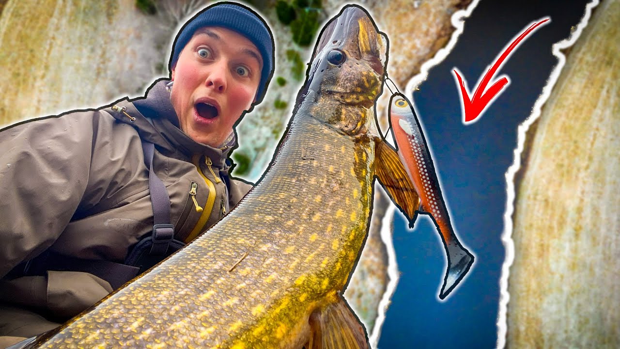 EXPLORING Pike Fishing Winter Time In A Small River (Does It Hold Big ...