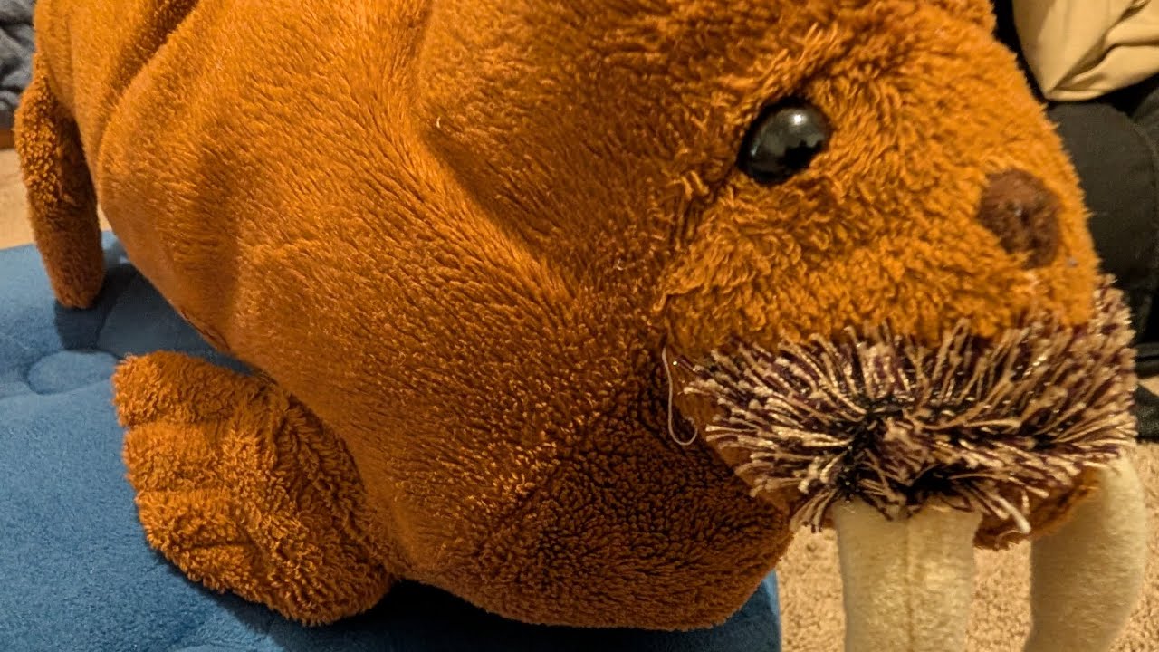 Walrus and Friends: EPISODE 1 - YouTube
