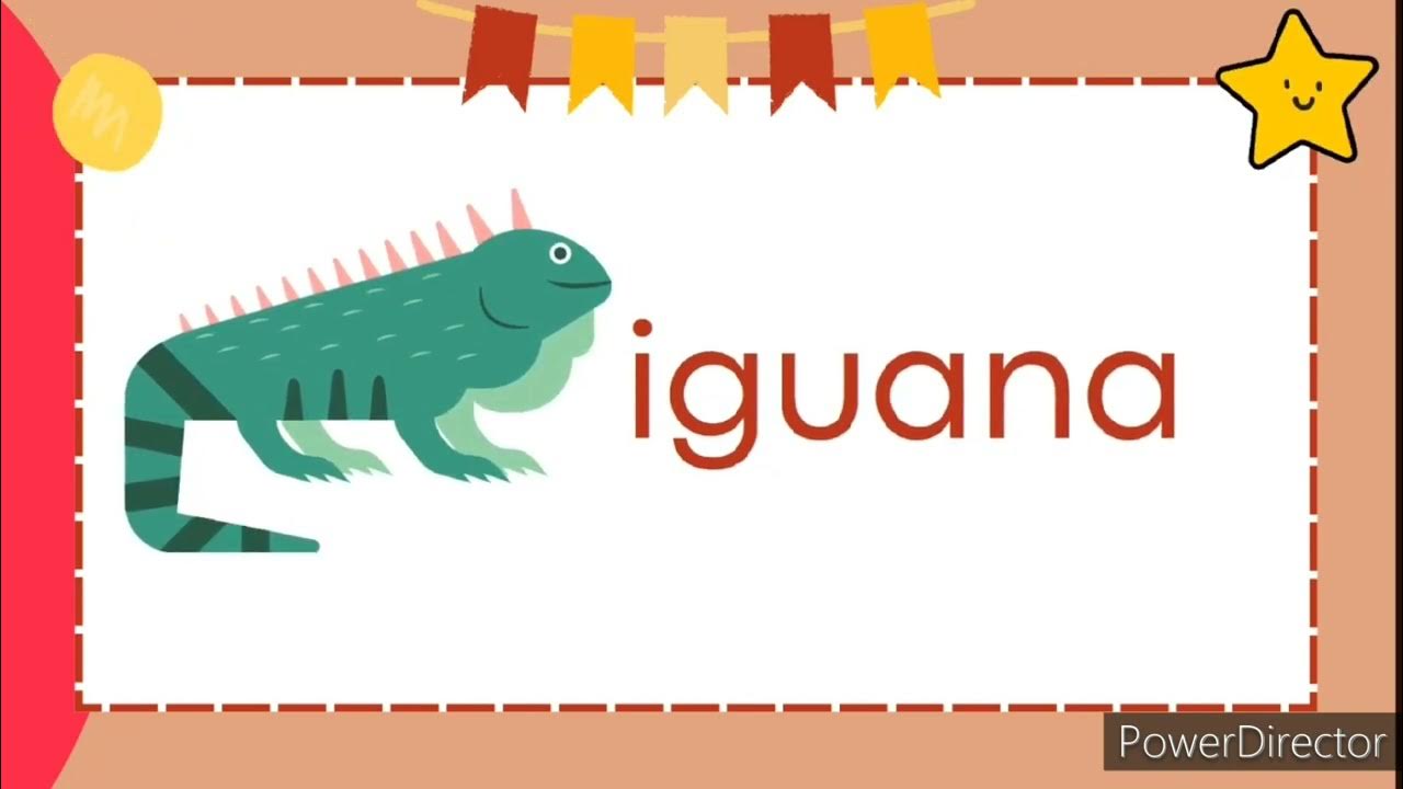 Vowel Letters | Letter Sounds | Letters of the Alphabet | Phonics ...