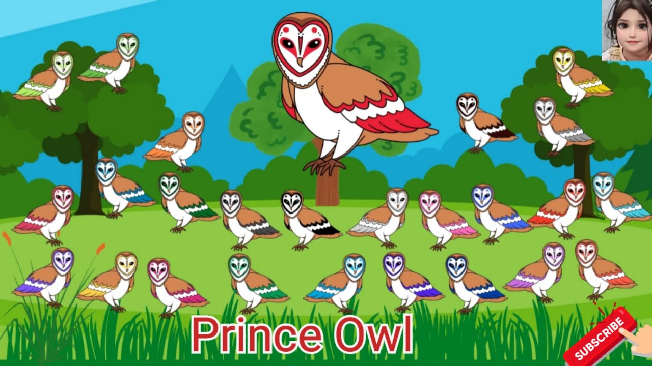 Prince Owl [Beautiful Story] {Select Princes} (lovely Birds) - YouTube