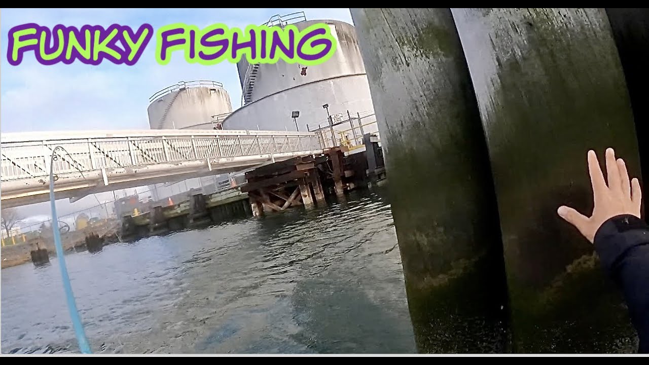 Fishing Structure for Schoolie Stripers - YouTube
