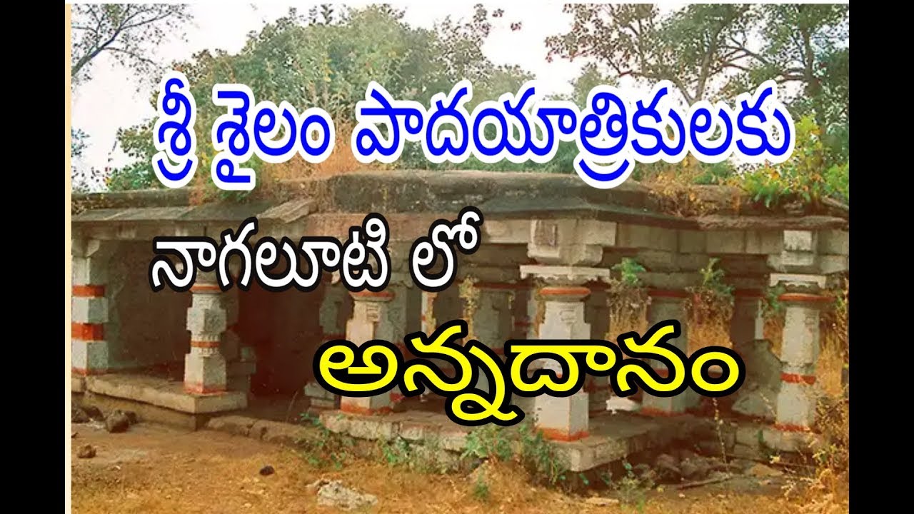 Nagalooty Srisailam pilgrimage Anna daanam, Shivaratri,om namah sivaya ...