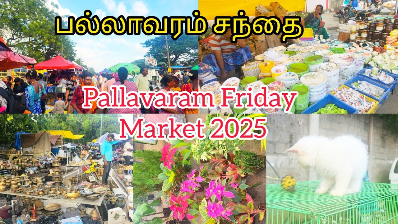Pallavaram Friday Santhai | பல்லாவரம் சந்தை | A to Z of old and new ...