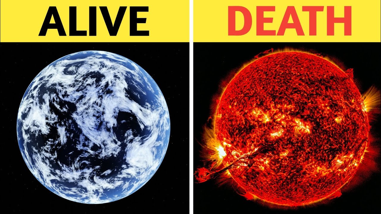 “The Sun Will Die Soon… But How?” 😱 - YouTube