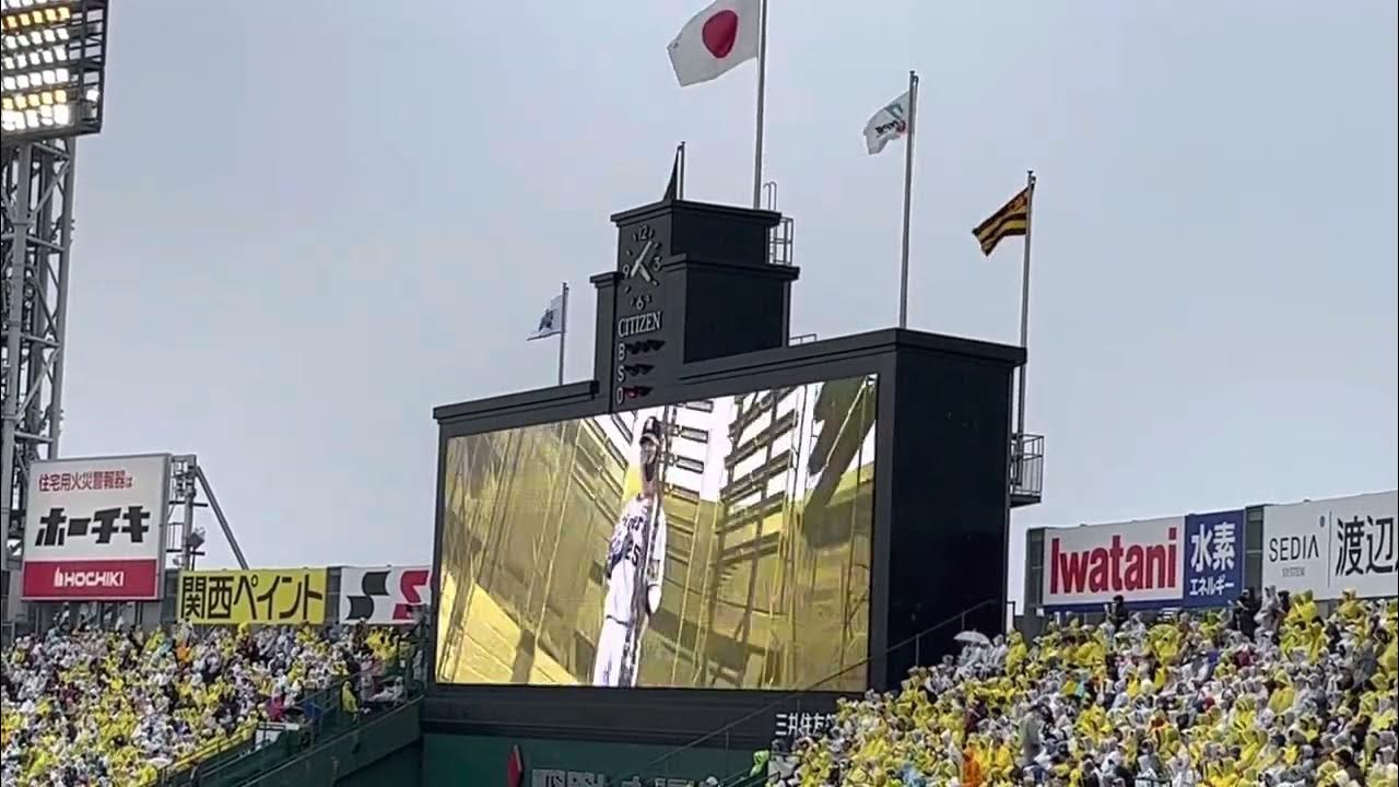 5/13 阪神VS横浜 渡邉諒TORACO DAY version - YouTube