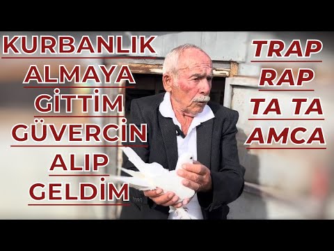 KURBANLIK ALMAYA GİTTİM GÜVERCİN ALIP GELDİM - HACI AHMET KARAASLAN KÜMES ZİYARETİ