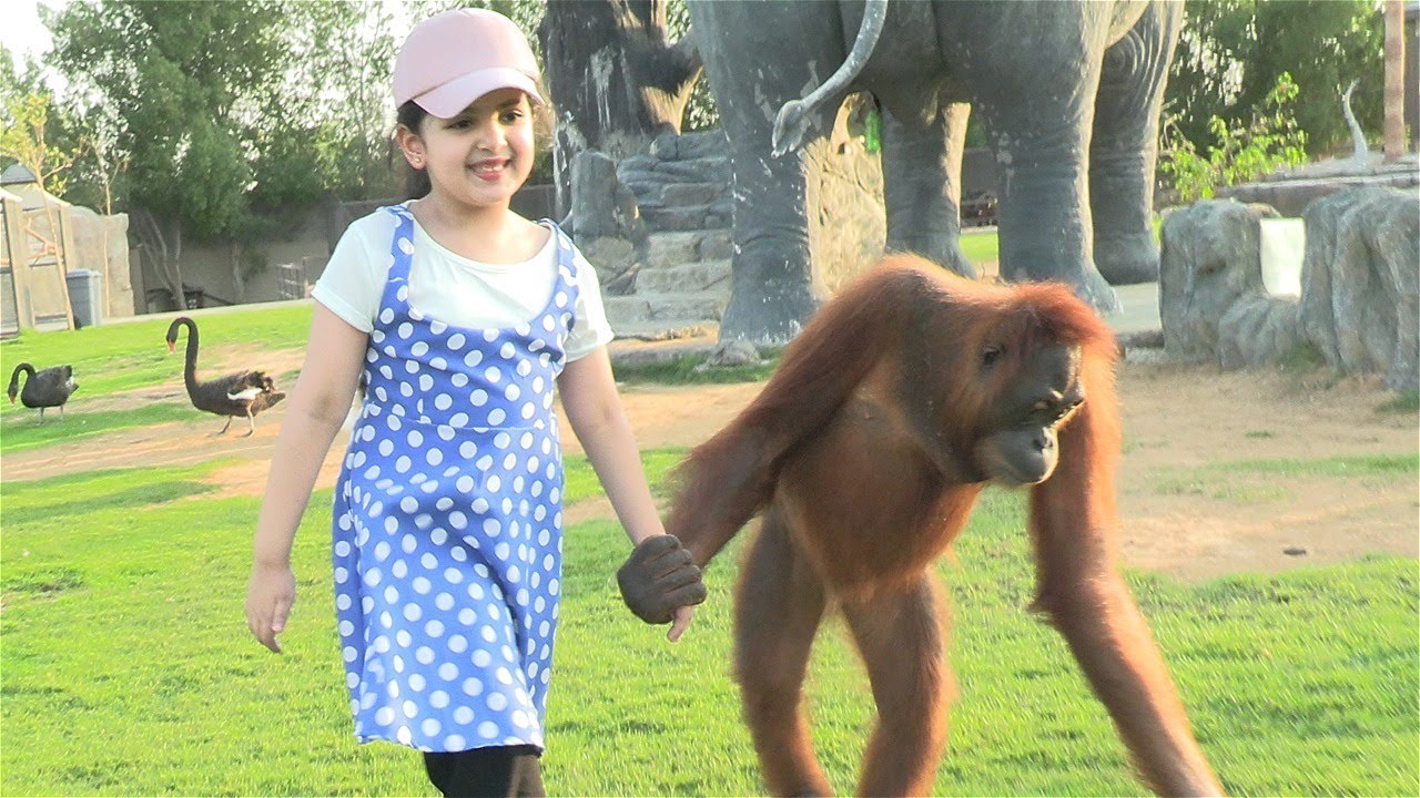 Hiba and Dua playing with Monkey live | Baby Funny Video Monkey Play ...