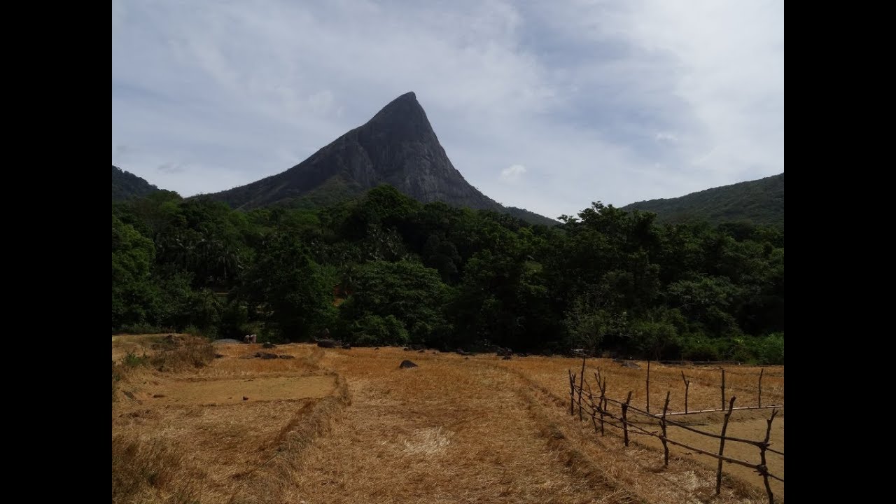 Trekking in the Knuckles Forest Reserve | නකල්ස් රක්ෂිතයේ සංචාරය (2015 ...