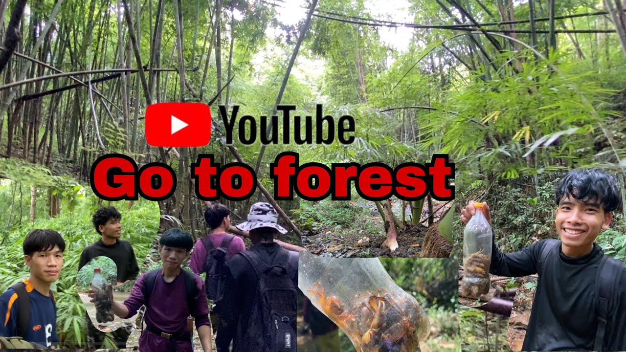“Go to forest” 🏕️Karenni new video - YouTube