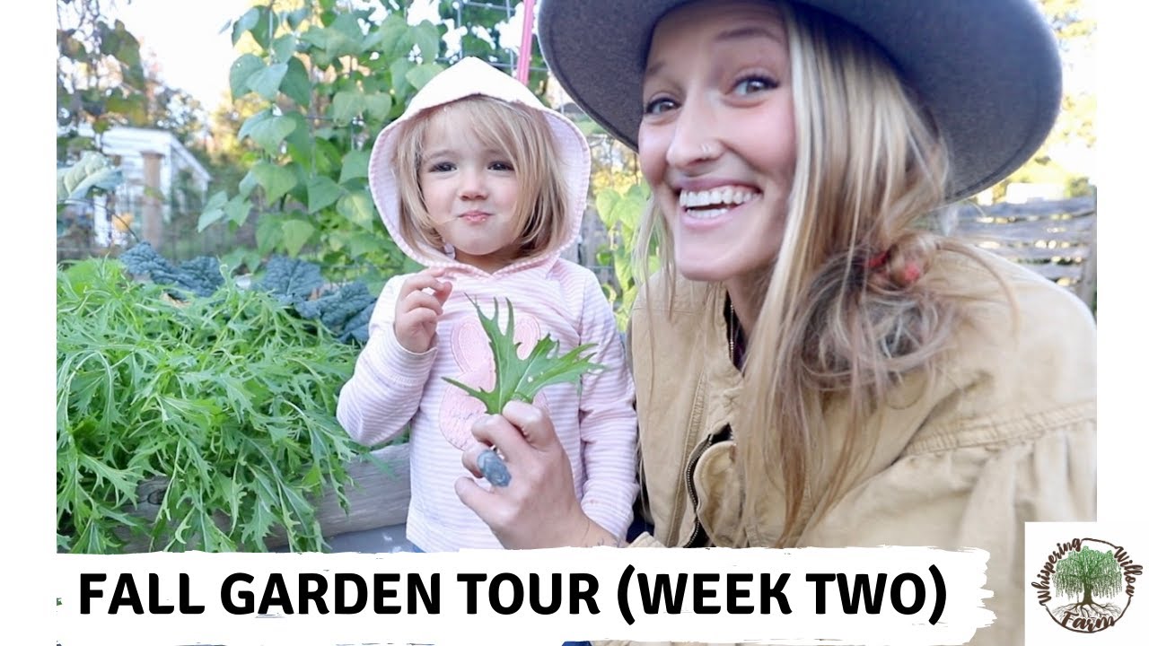 Fall Garden Tour ( WEEK TWO) Whispering Willow Farm - YouTube