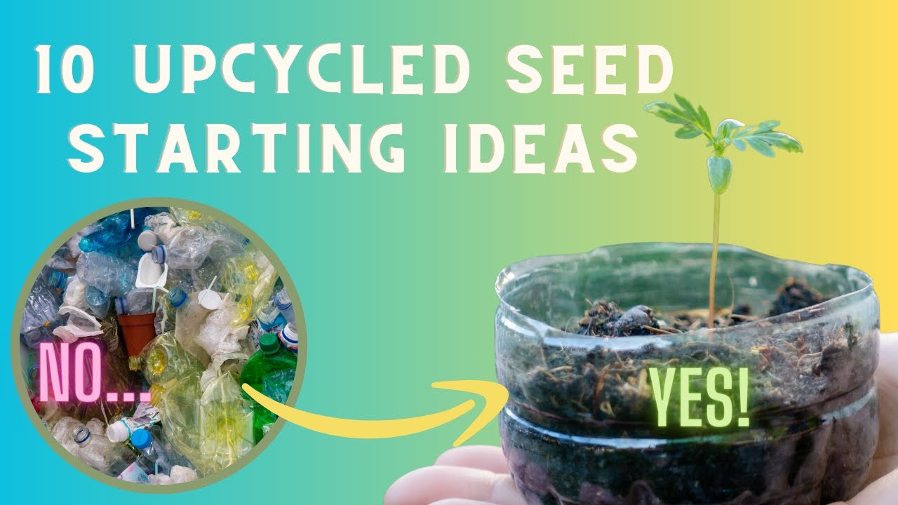 Repurposed Seed Containers 8 Recycled Seed Starter Containers From
