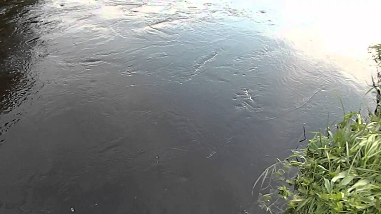 Brierley Fields, River eddies, Mytholmroyd, West Yorkshire, England ...