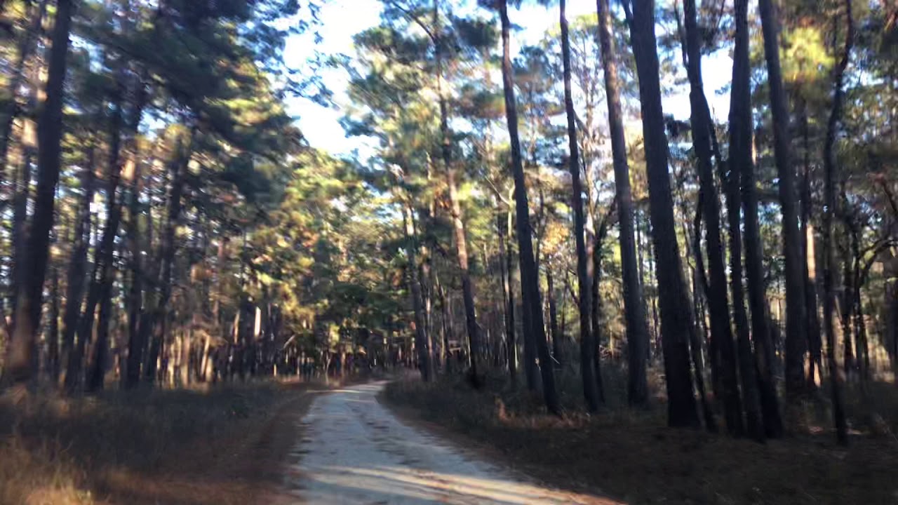 December 16, 2020 - YouTube