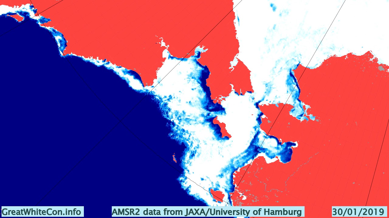 Movement of Sea Ice North of the Pacific in Early 2019 - YouTube