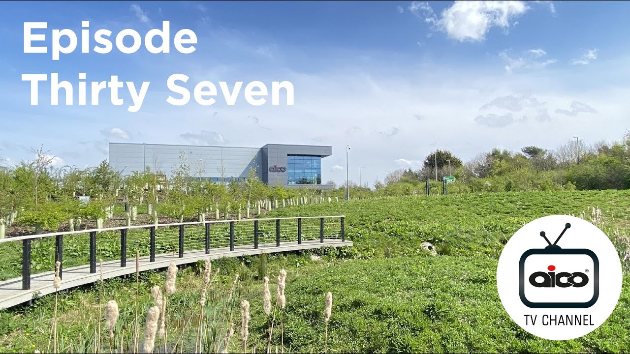 Episode 37 - YouTube