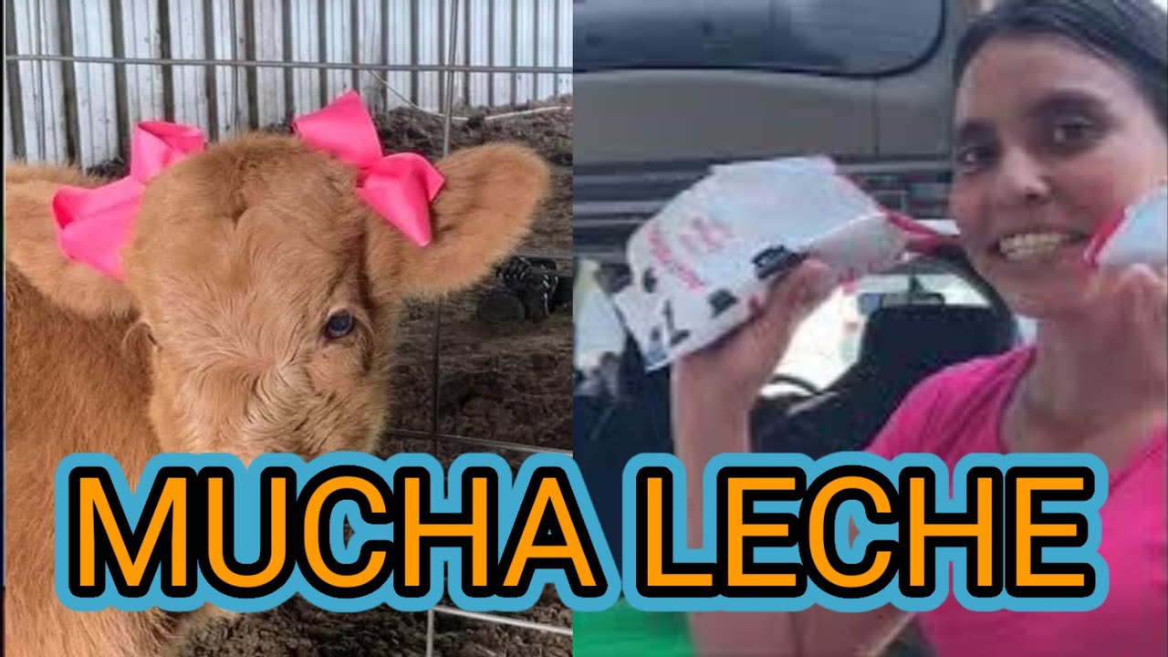 MEGA DESPENSA PARA CRUZ MARICELA,CRUZ PRESENTA ESTE VIDEO - YouTube